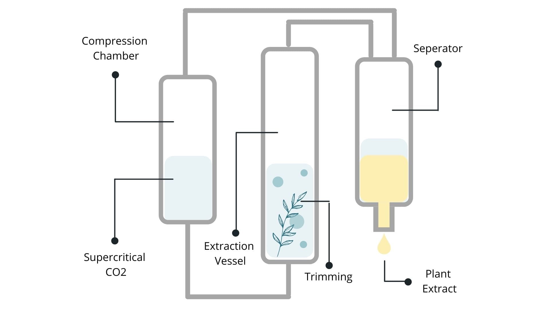 Scentori - SFE oils - ECOORI