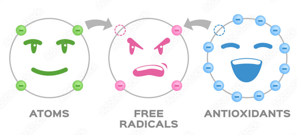 Why Oxidants Are Needed to Prevent Skin Aging? - ECOORI